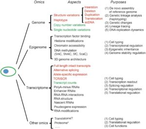 Single-Cell RNA Sequencing (scRNA-seq) - DrOmics Labs