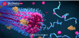 Protein Structure Visualization Tools - DrOmics Labs