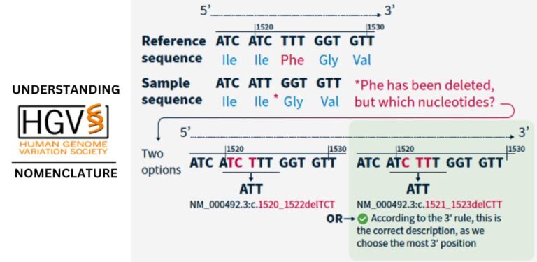 Decoding the Complexity: Understanding HGVS Nomenclature in Genetics - DrOmics Labs