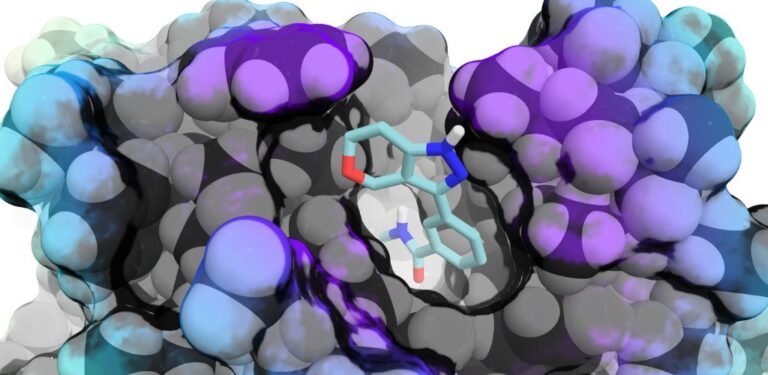 Structure-Based Drug Design: A Blueprint for Targeted Therapies - DrOmics Labs