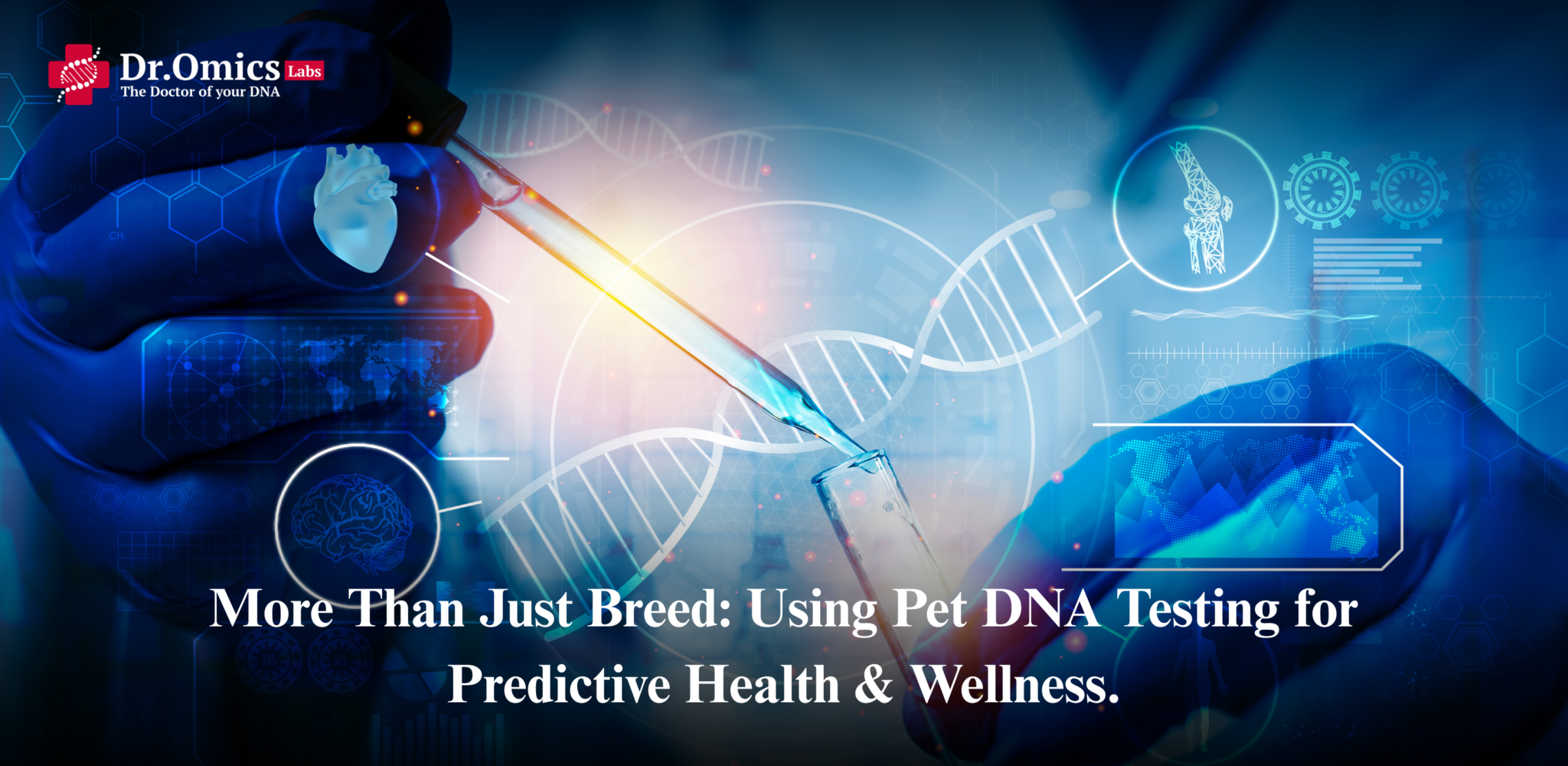 More Than Just Breed: Using Pet DNA Testing for Predictive Health ...