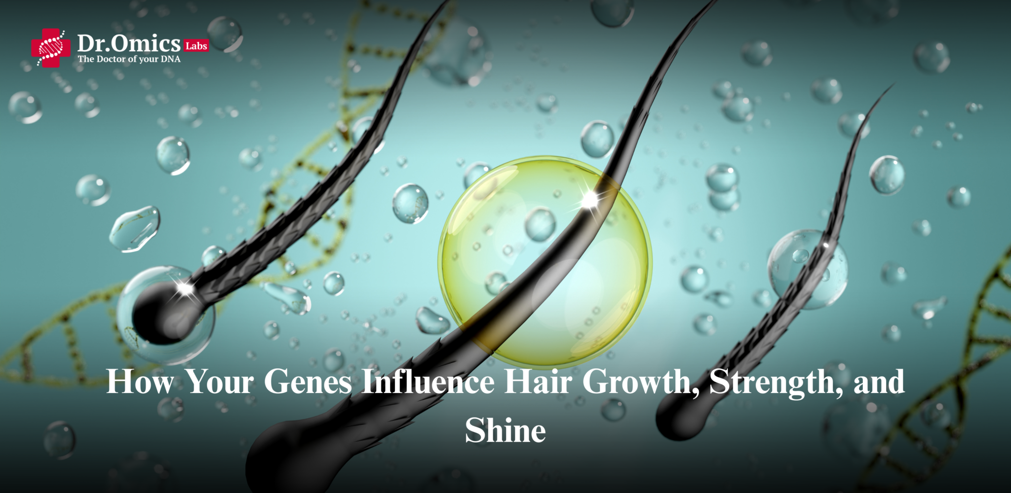 How Your Genes Influence Hair Growth, Strength, and Shine - DrOmics Labs